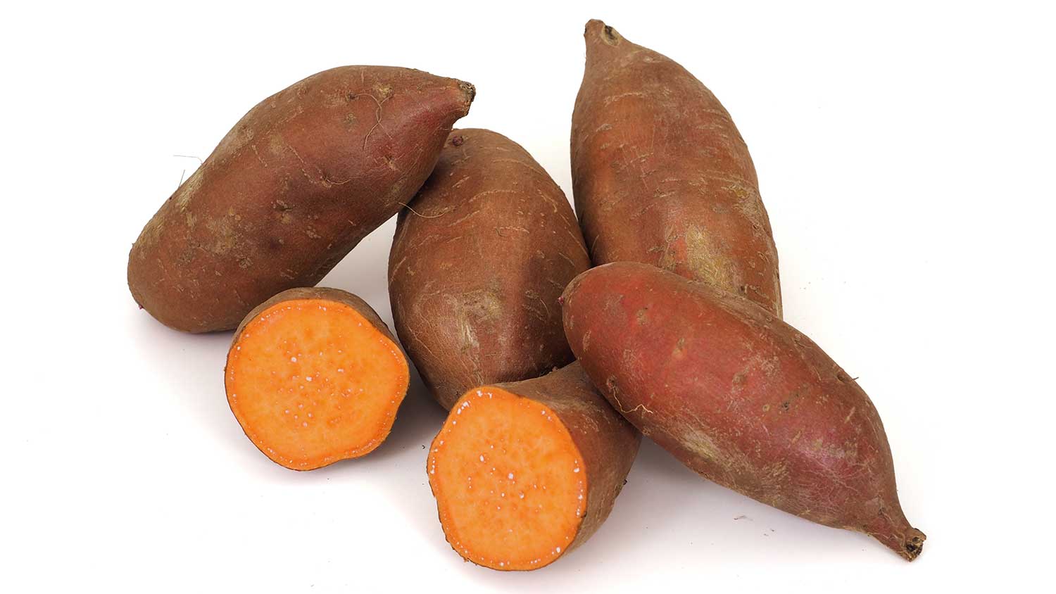 Sweetpotato Varieties | Sweetpotato and Potato Breeding and Genetics ...