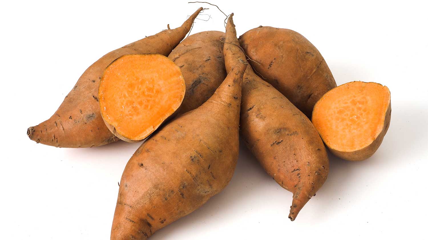 Sweetpotato Varieties | Sweetpotato and Potato Breeding and Genetics ...